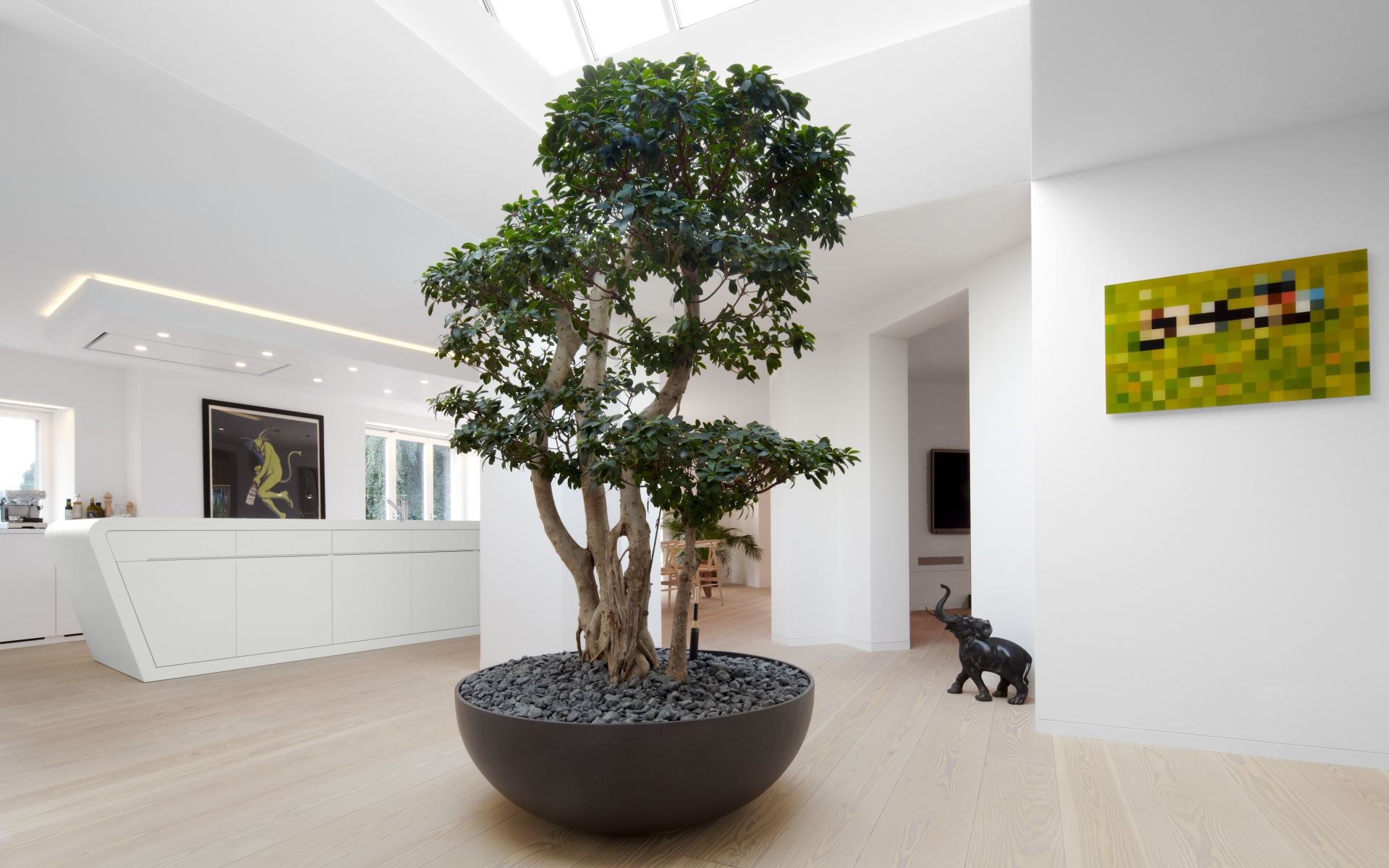 Indoor Plants for a Greener Workplace | Toronto, Canada